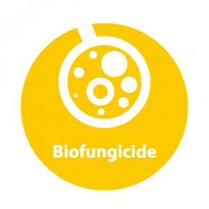 Bio Crop Protection - Our Products - Andermatt Africa